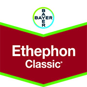 Bayer Crop Science Belgique