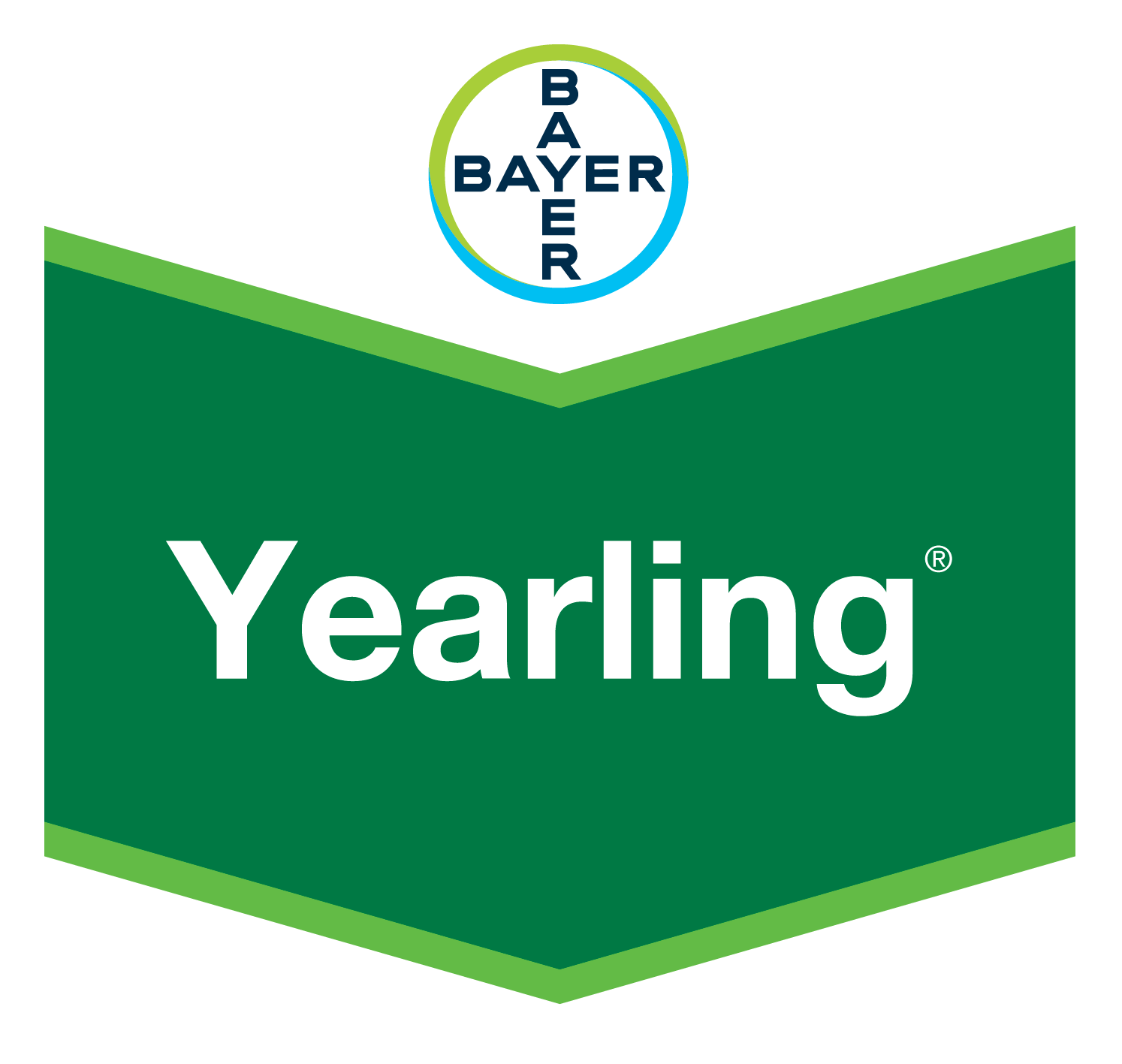 Yearling - Bayer Crop Science Belgique