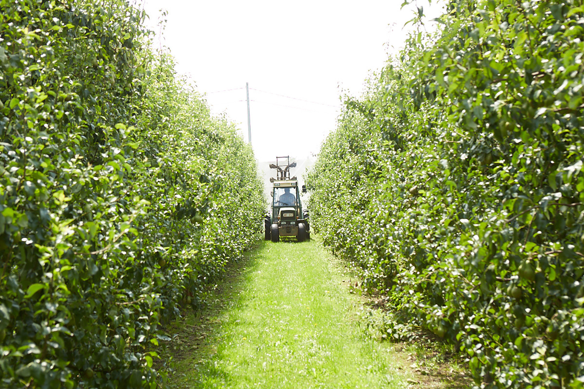 Home - Bayer Crop Science Belgie
